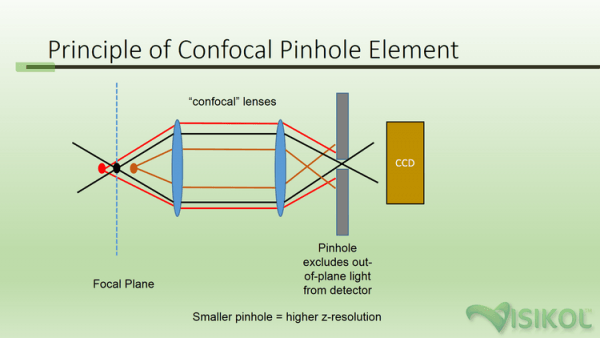 Visikol® - Blog Post: Loading and Measurement of Volumes in 3D Confocal ...