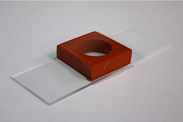 Mouse Brain Slicer | Visikol