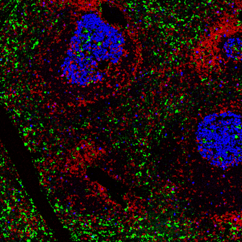 The Value of Using IMC