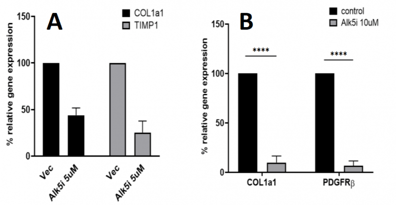 Precision cut liver slice (PCLS) assay services | Visikol