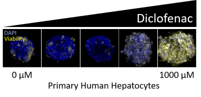 PHH, HepG2 or HepaRG for DILI Studies? | Visikol