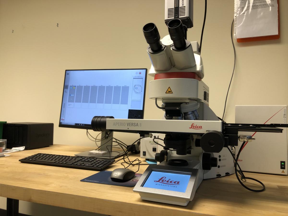 Visikol Adds the Leica VERSA 8 to Multiplexing Services | Visikol