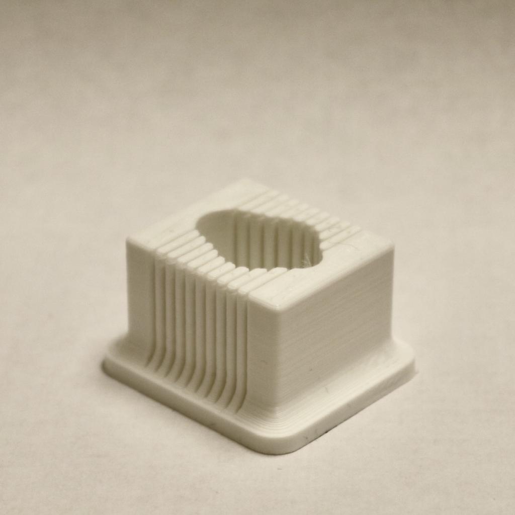 Rabbit Brain Slicer | Visikol