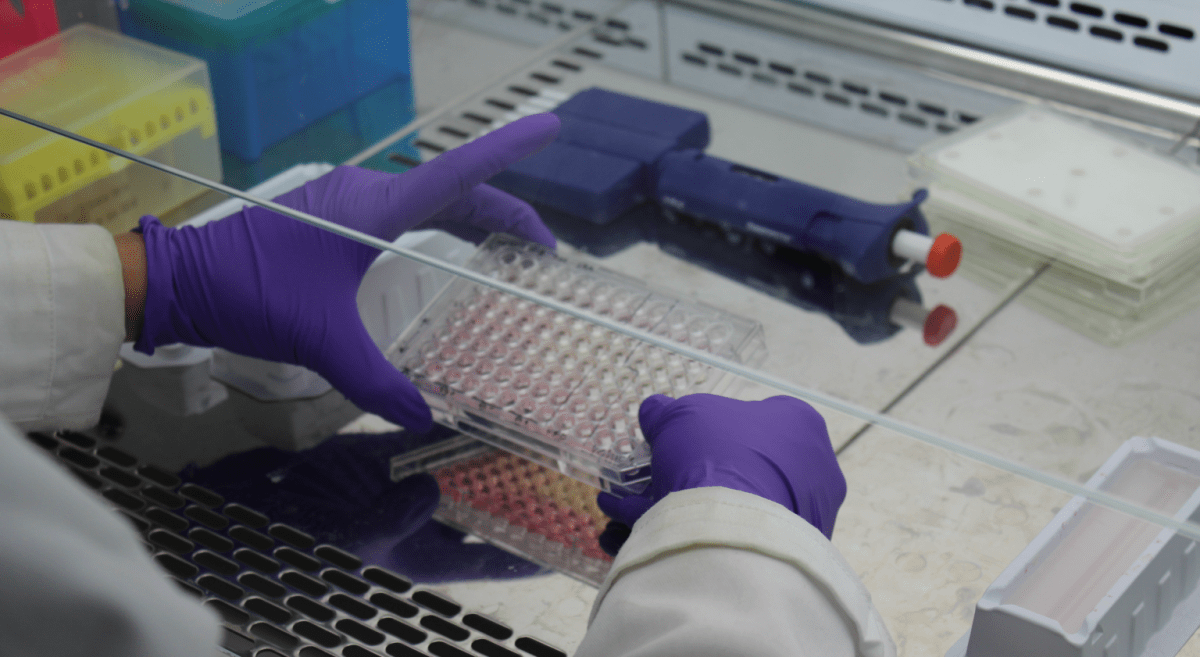 HUREL® Micro Liver Human Hepatocyte Intrinsic Clearance for Slowly ...