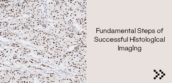 Fundamental Steps of Successful Histological Imaging