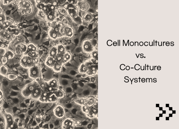 Cell Monocultures vs. Co-Culture Systems | Visikol