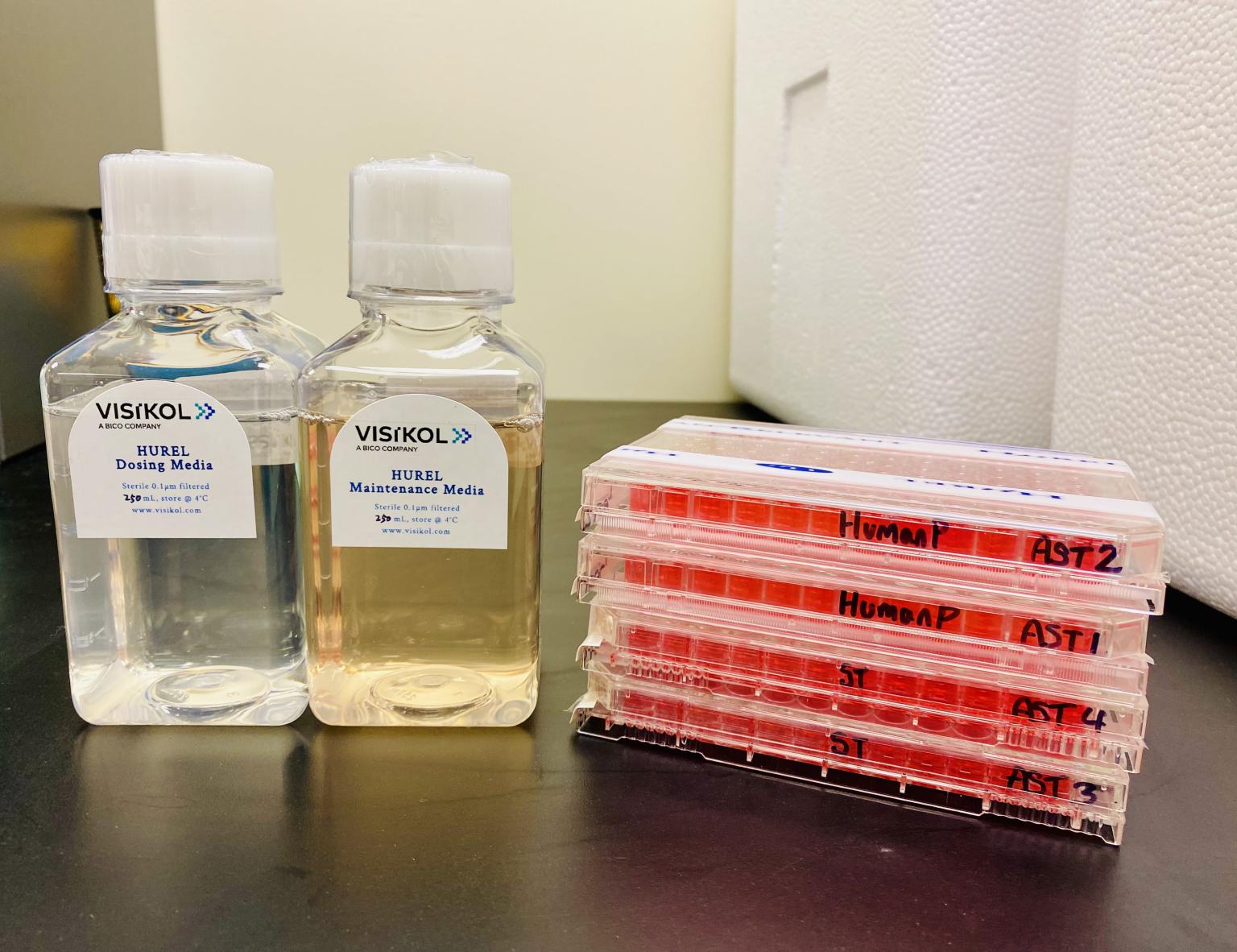 Maximizing the Potential of HUREL® Micro Livers: Tips for Optimal Use