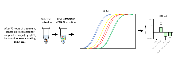 Liver Fibrosis Assay