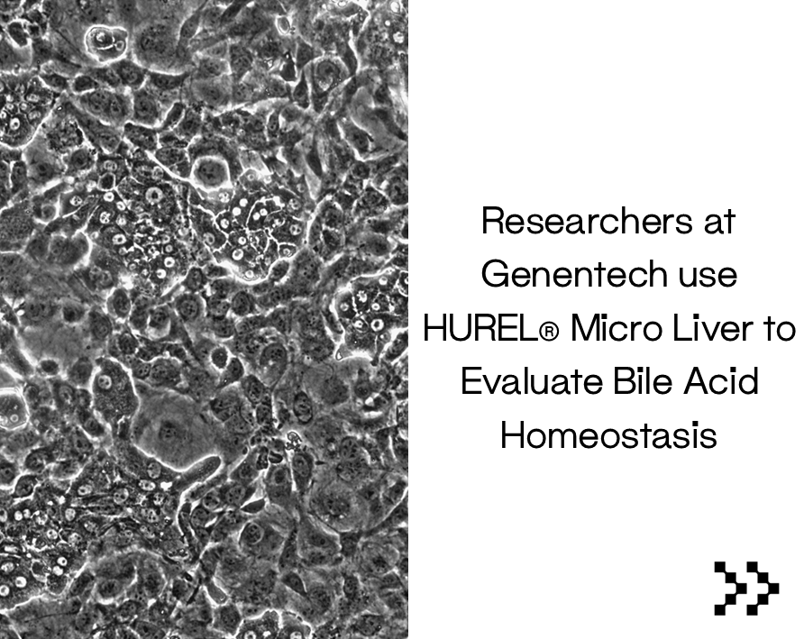 Researchers at Genentech use HUREL® Micro Liver to Evaluate Bile Acid ...