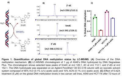 High Throughput Epigenetics