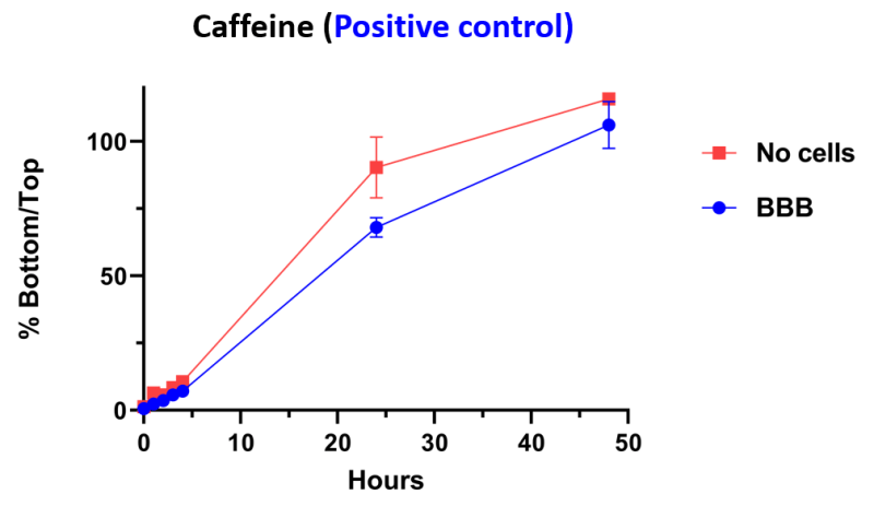 In Vitro Blood Brain Barrier Permeability Assessment