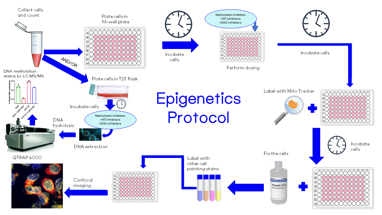 High Throughput Epigenetics