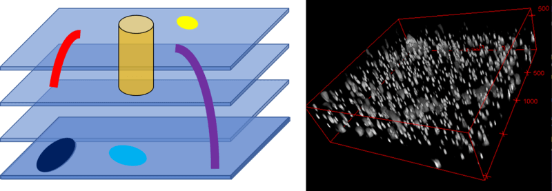 An Example of Multi-Dimensional Image Analysis: Advanced 3D Cell Counting