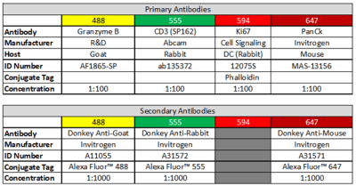 An Introduction to Antibody Panel Design
