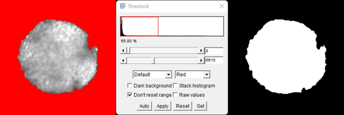Top 5 Keyboard Shortcuts for ImageJ | Visikol