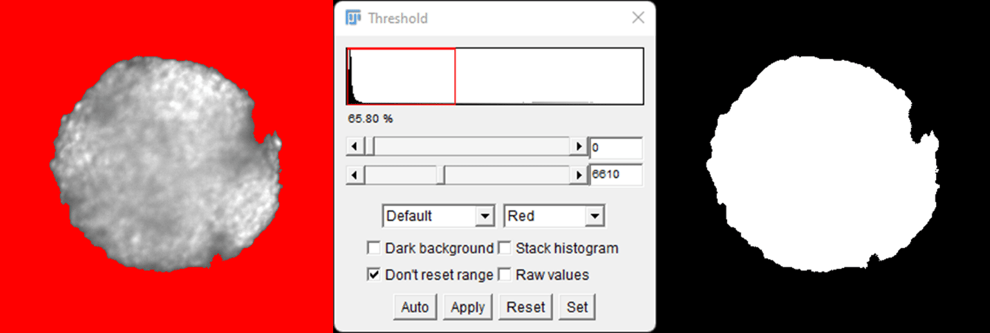 Top 5 Keyboard Shortcuts for ImageJ | Visikol