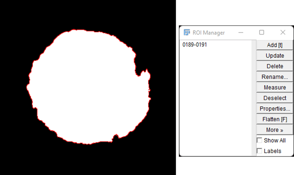 Top 5 Keyboard Shortcuts for ImageJ | Visikol