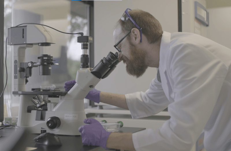 How We Choose to Use Inverted vs Upright Microscopes