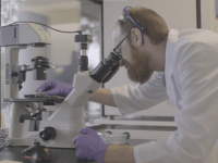 The Differences Between Widefield and Confocal Microscopy