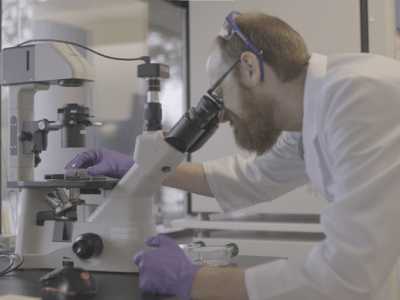 The Differences Between Widefield and Confocal Microscopy