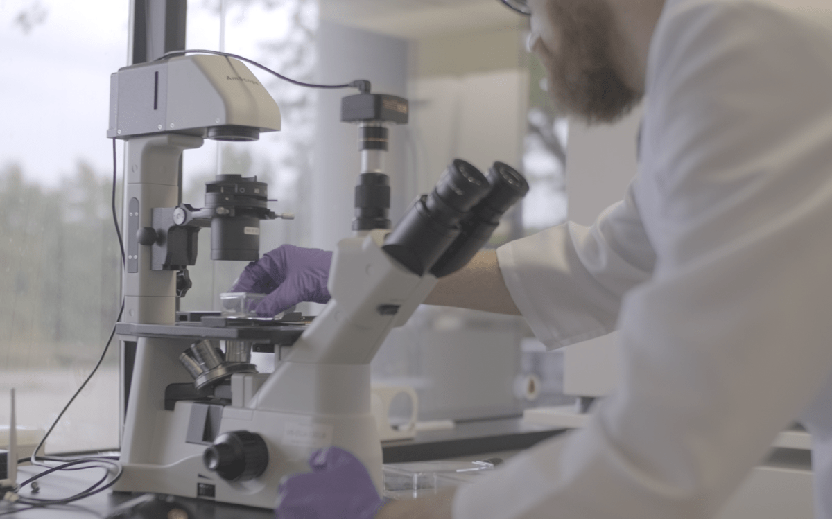 The Importance of Histological Tissue Processing: A Dive into Visikol’s ...